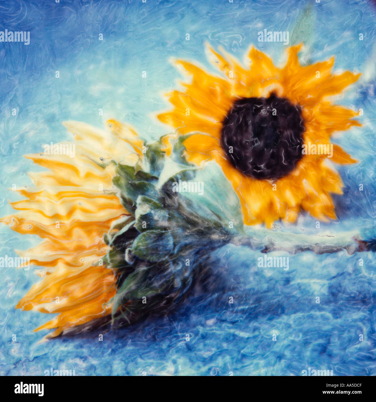 Photographic manipulation hi-res stock photography and images - Alamy