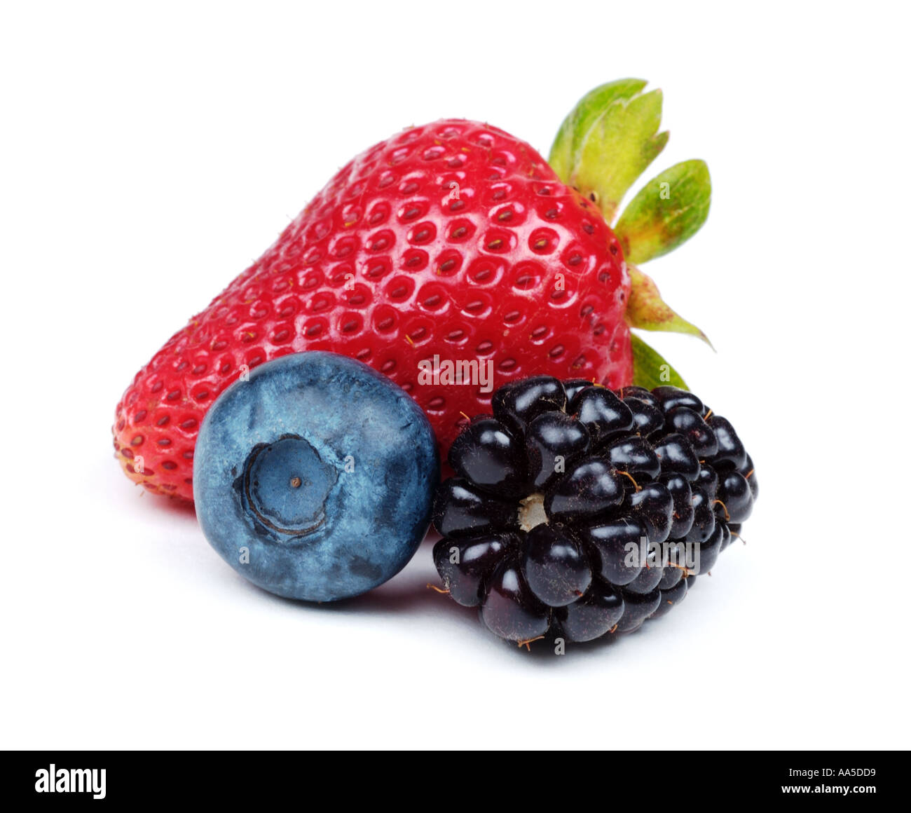U pick blueberry farm Cut Out Stock Images & Pictures - Alamy