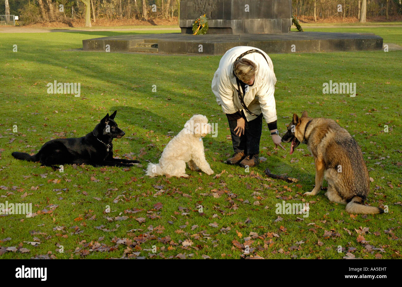 Woman with three dogs hi-res stock photography and images - Alamy