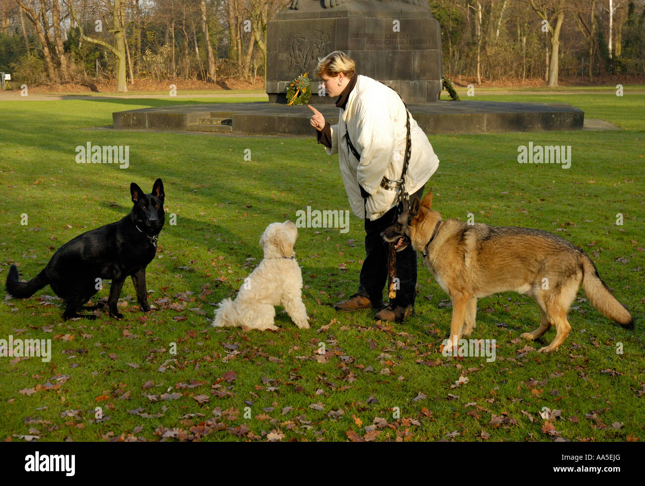 Woman and 3 dogs hi-res stock photography and images - Alamy