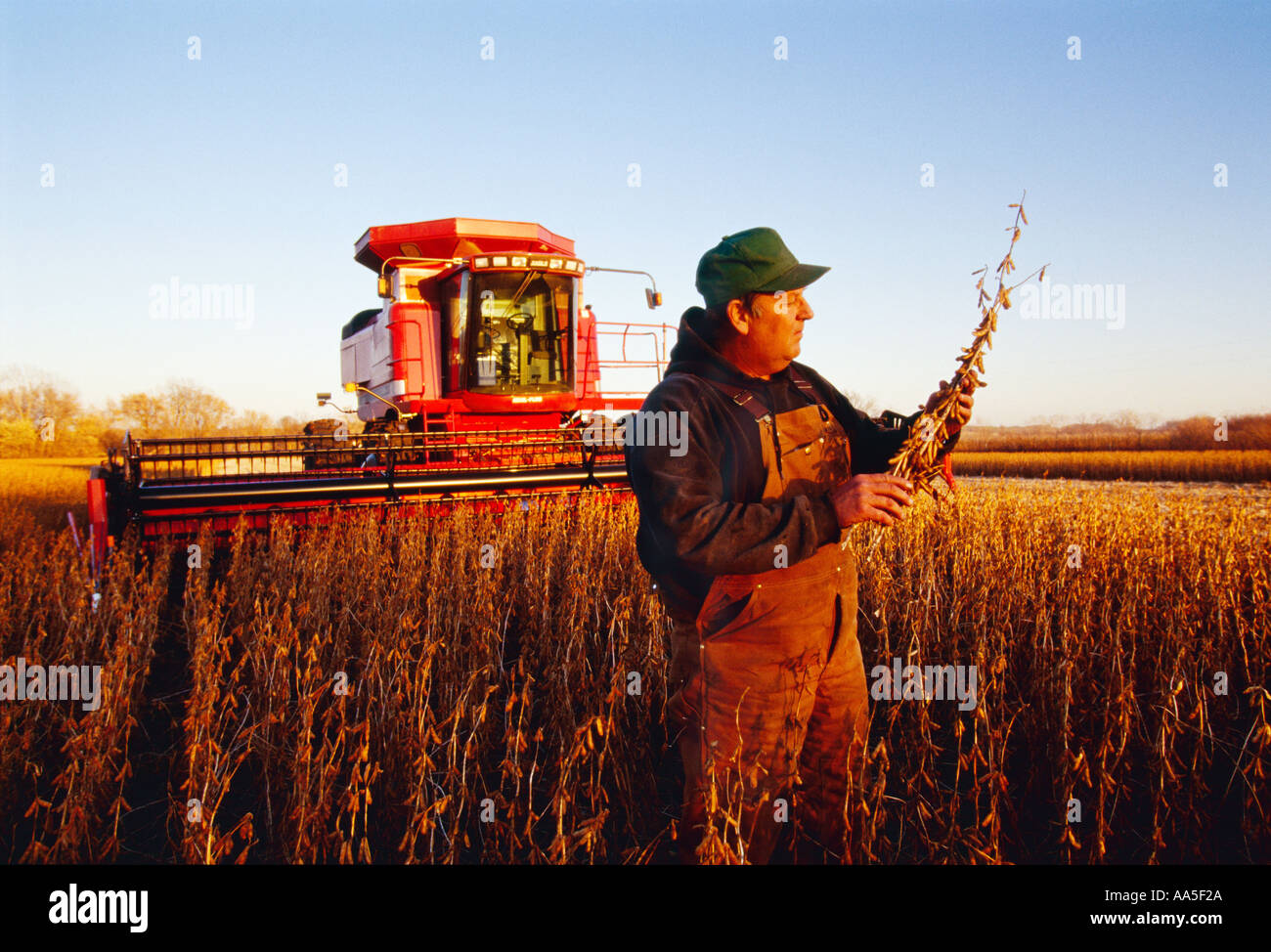 Farmer in iowa soybean field hi-res stock photography and images - Alamy