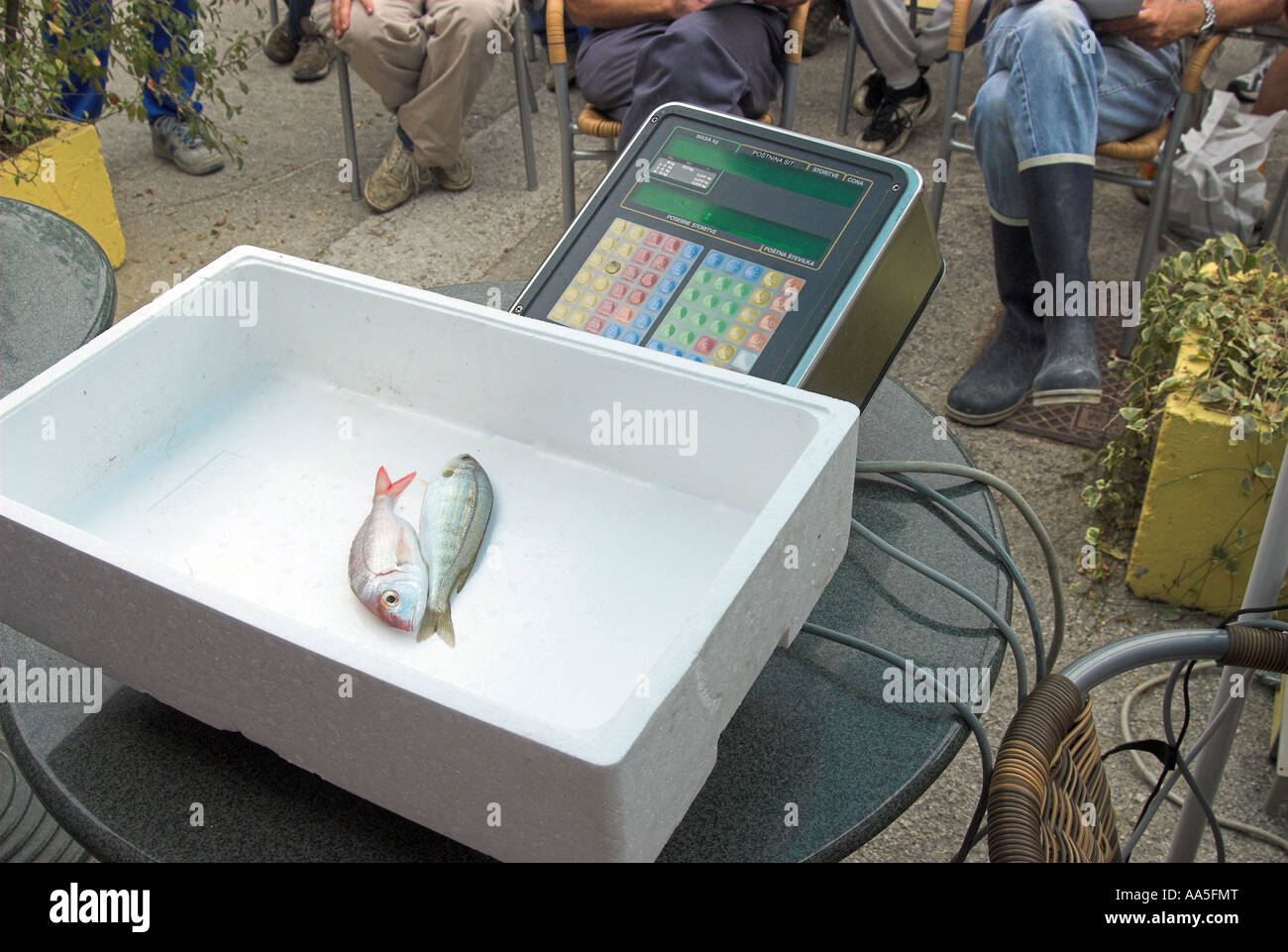 Weighing crate hi-res stock photography and images - Alamy