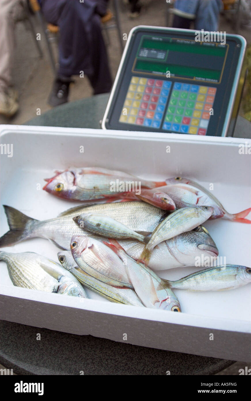 Weighing crate hi-res stock photography and images - Alamy
