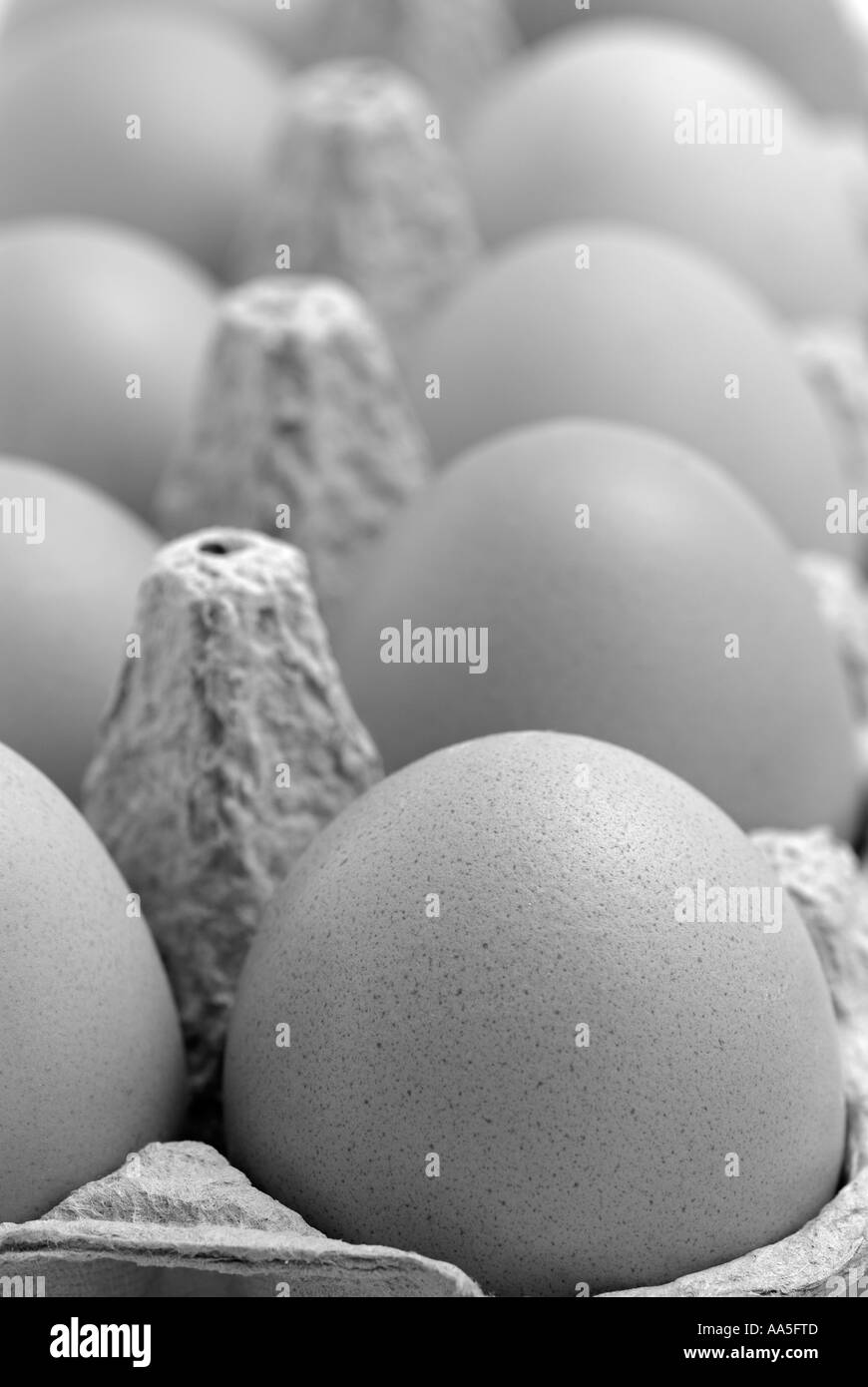 Carton Of Eggs Stock Photo - Alamy