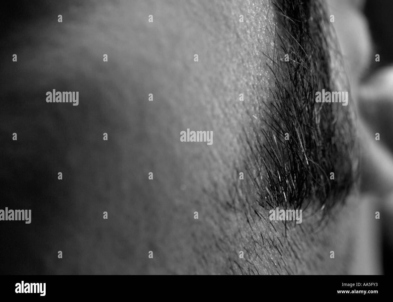 Sideburns hi-res stock photography and images - Alamy