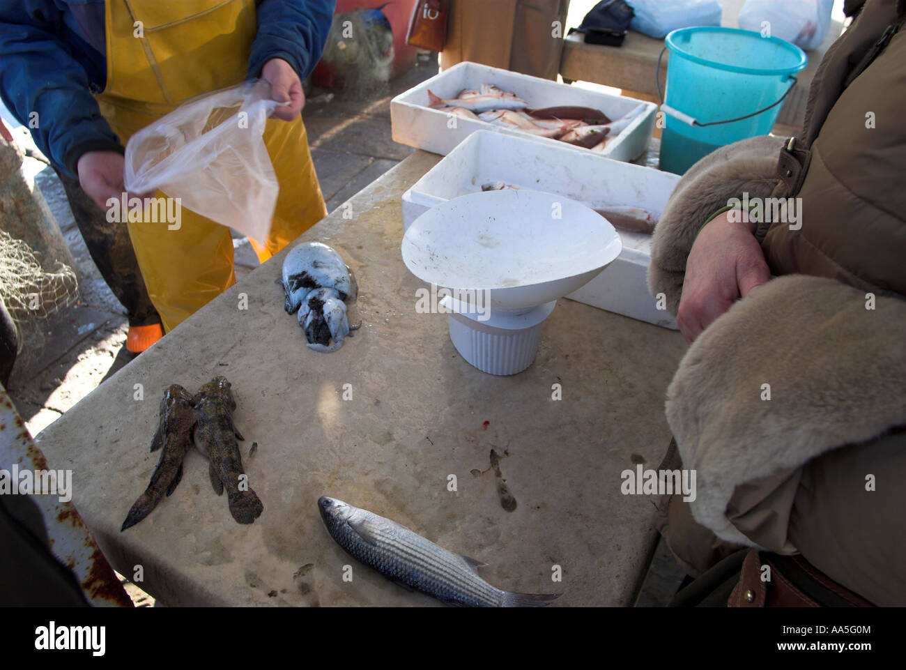 Locals selling buying fish hi-res stock photography and images - Alamy