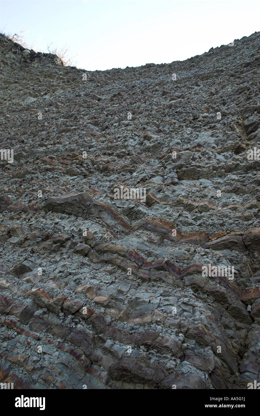Cliff, Strunjan, Slovenia Stock Photo - Alamy