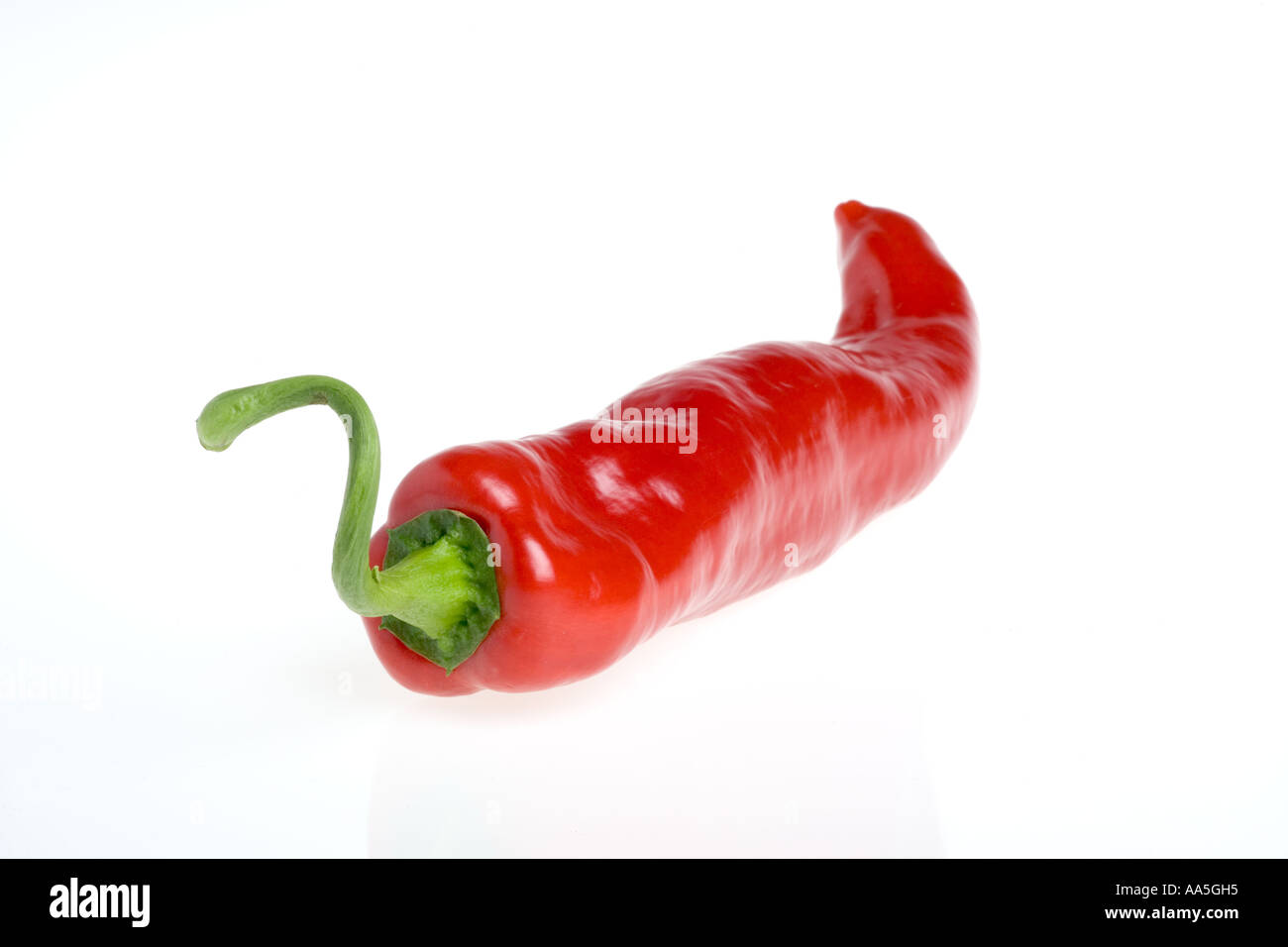 Red chilli pepper (Capsicum frutescens) is used to add a spicy flavour ...