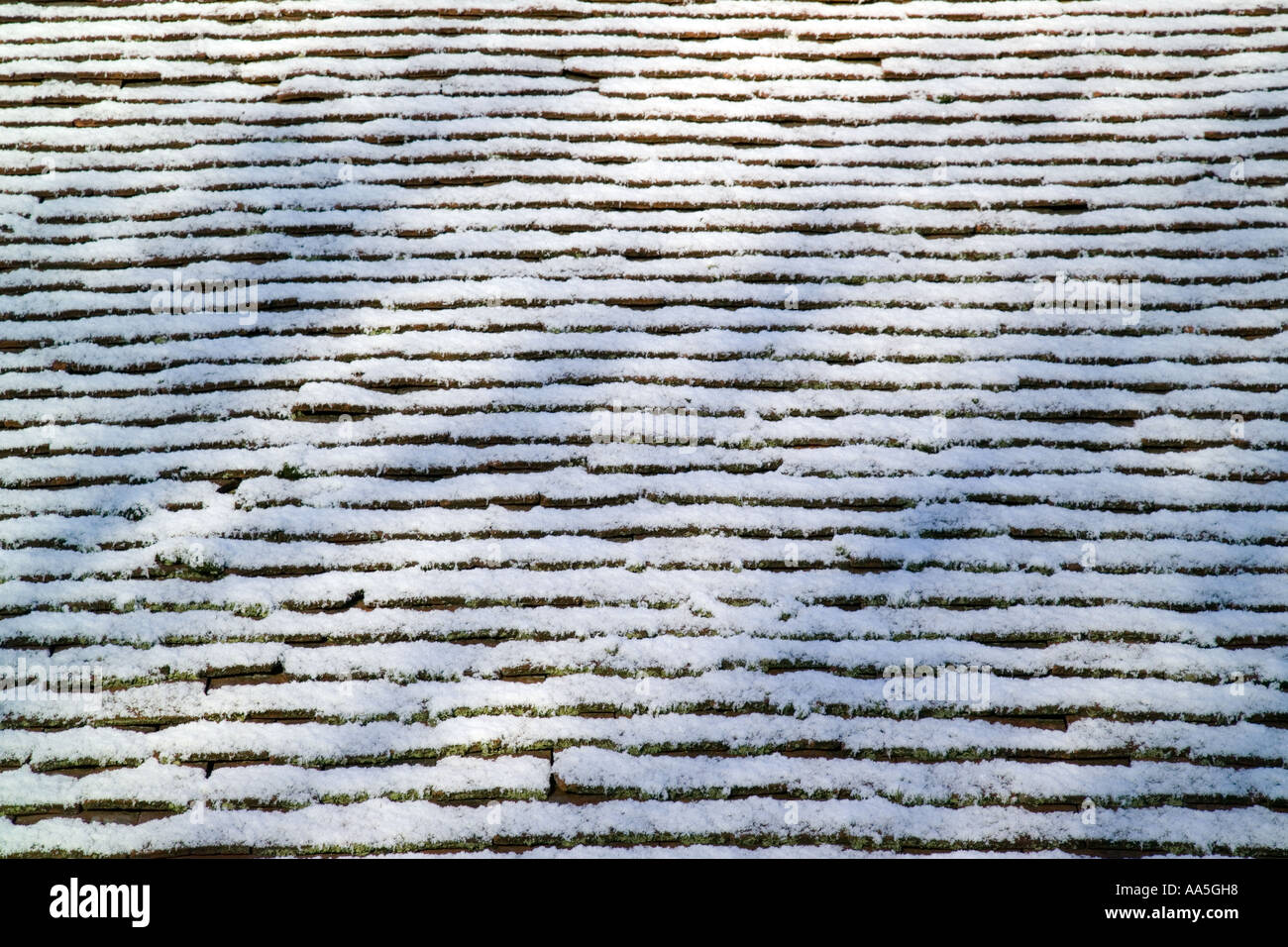 Snow dusting on barn roof tiles with soft tree shadows Stock Photo - Alamy