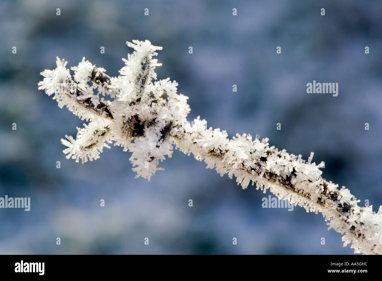 Prismatic forms hi-res stock photography and images - Alamy