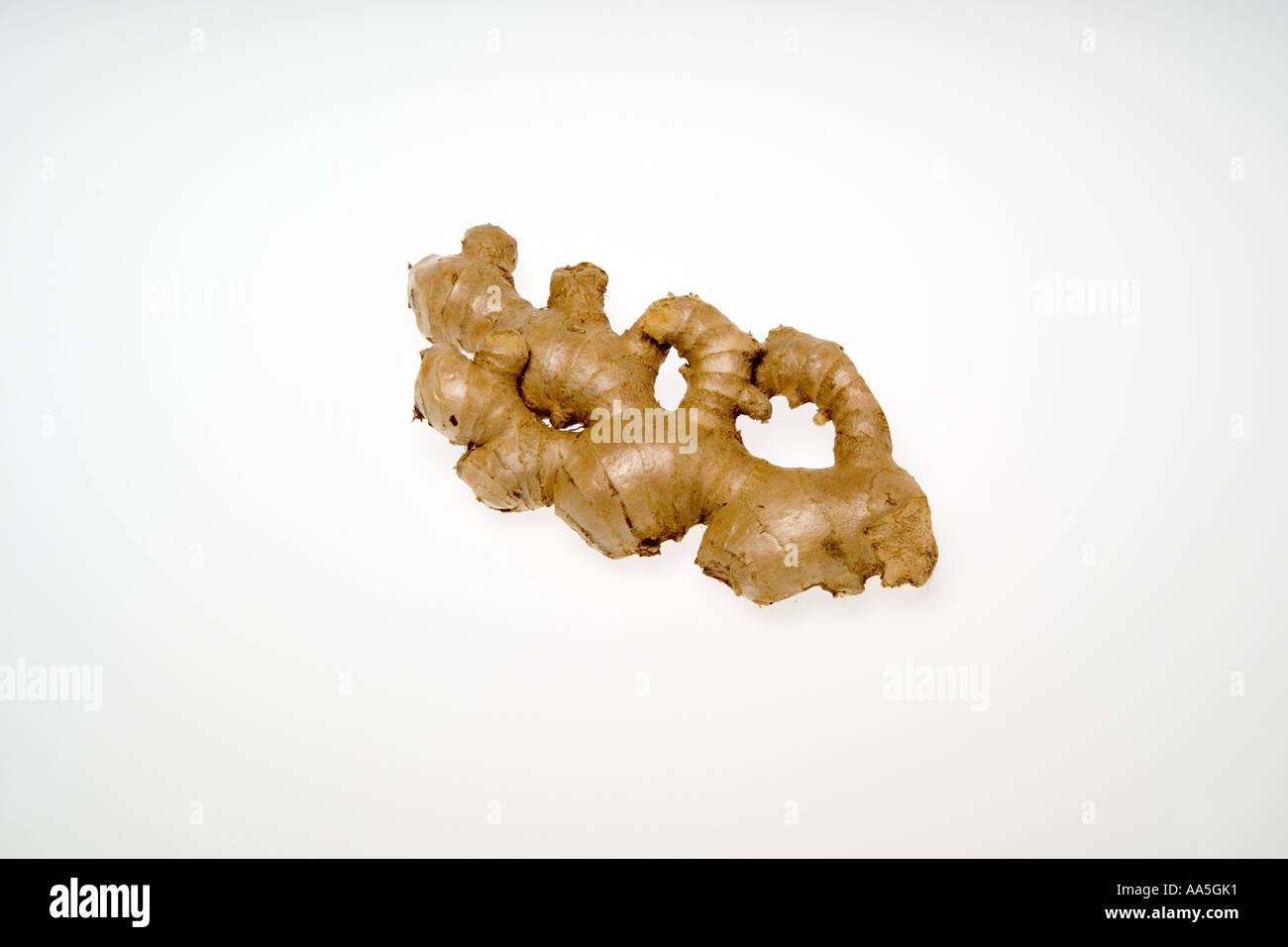 Ginger root (Zingiber officinale). (actually the rhizome) of ginger ...