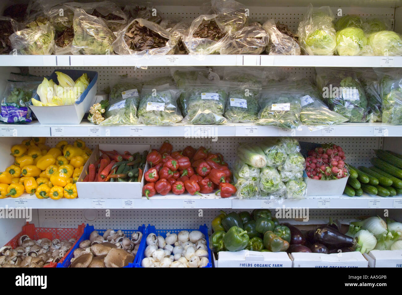 Sunnyfields farm hi-res stock photography and images - Alamy