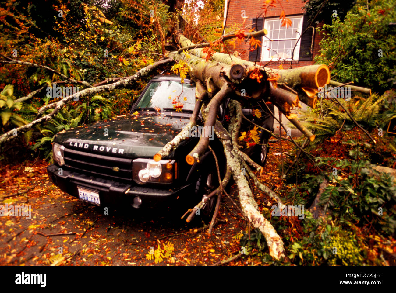 Rover car crushed hi-res stock photography and images - Alamy
