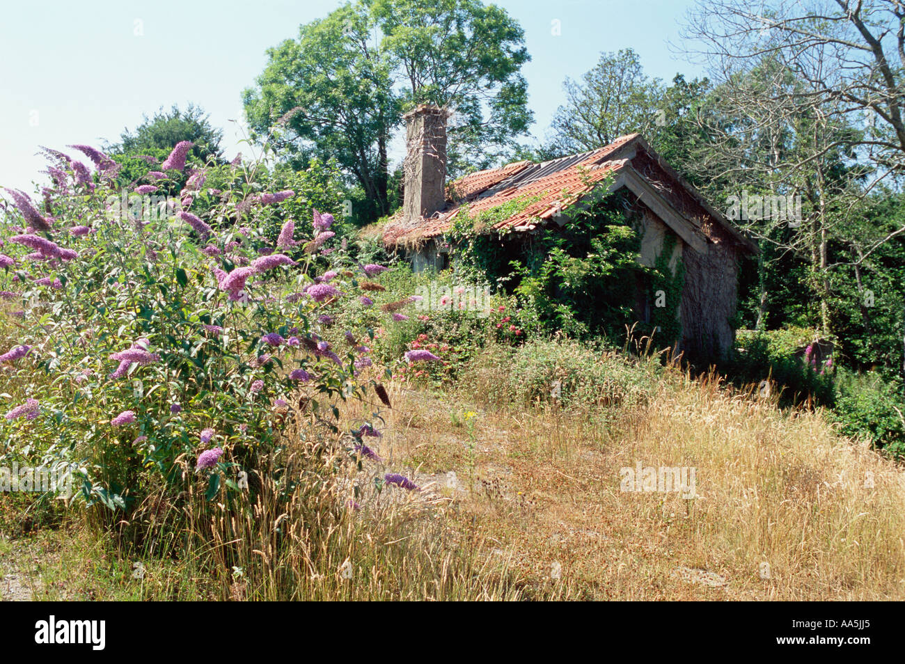 Derelict cottage hi-res stock photography and images - Alamy