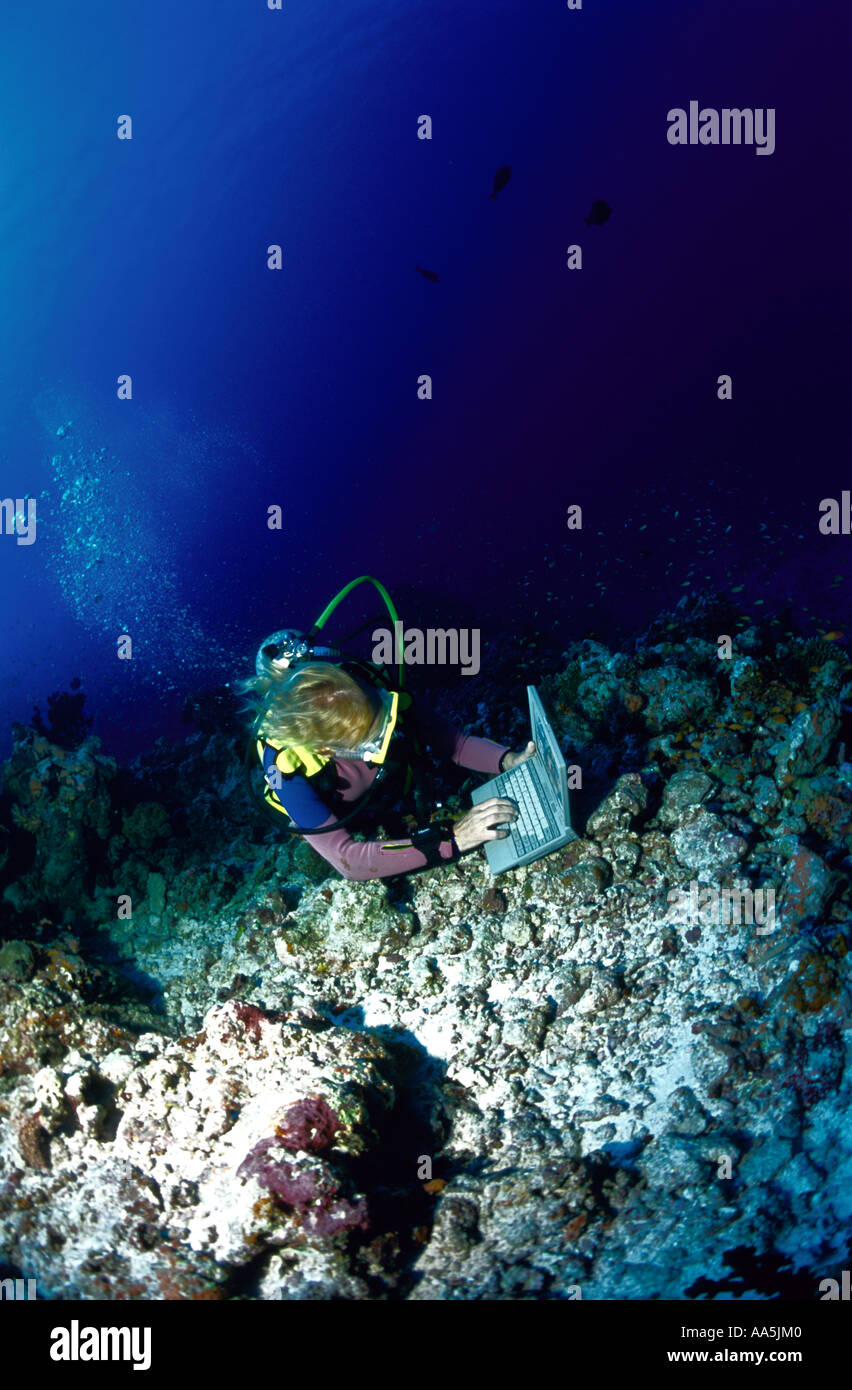 Diver using portable computer underwater Stock Photo - Alamy