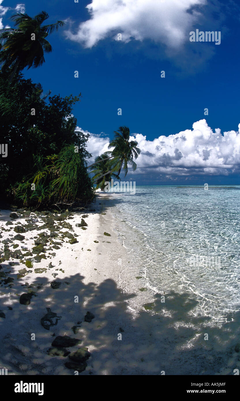 Tropical beach scene Stock Photo - Alamy