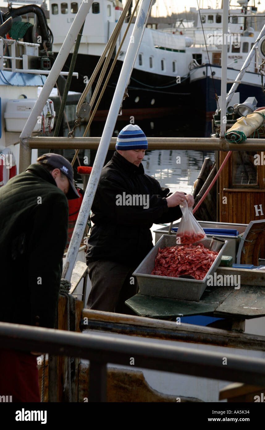 Norway Oslo Harbour Fishing Boat Onboard Fish Market Winter Stock Photo ...