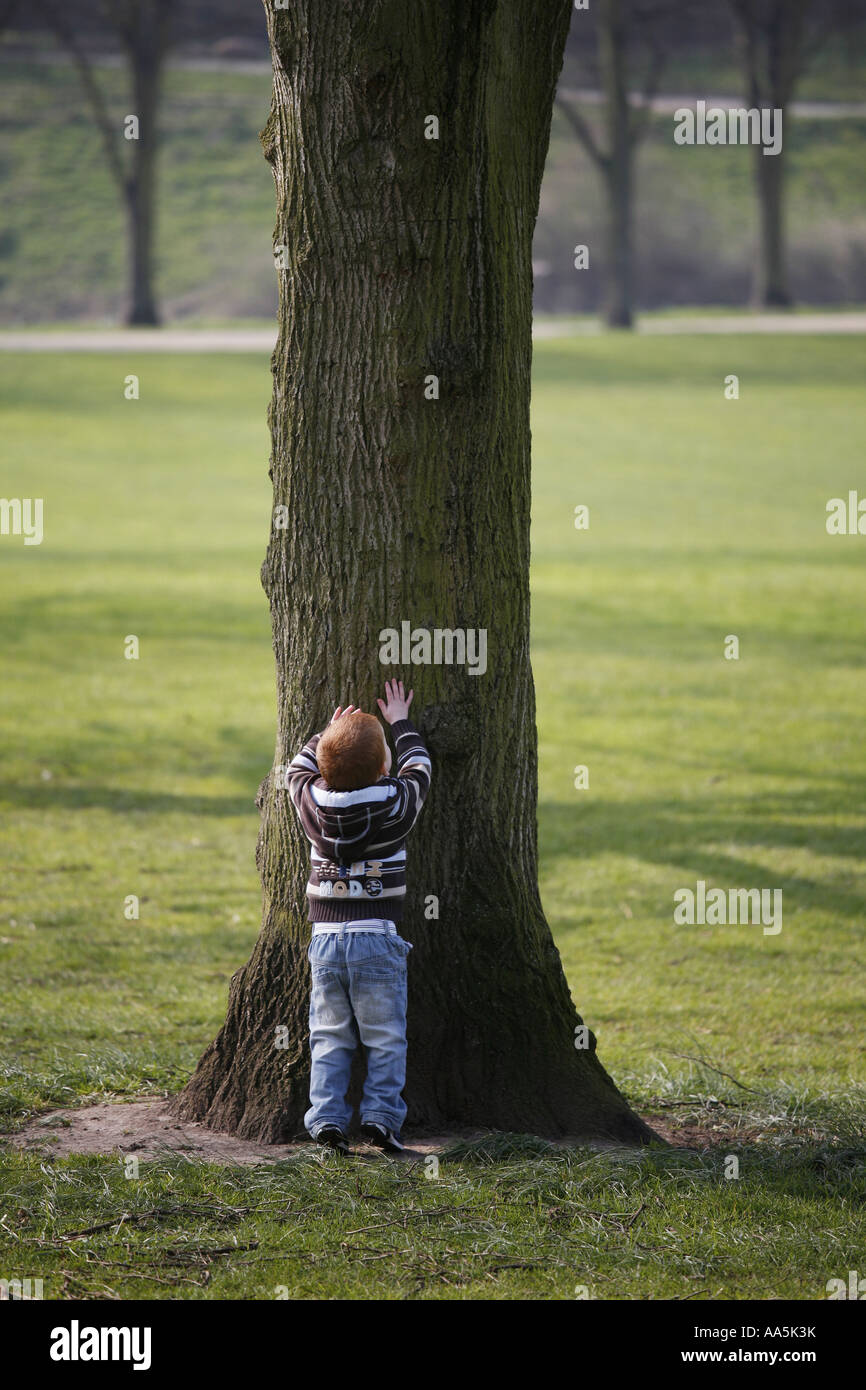 Boy trying to climb a tree in a park Stock Photo - Alamy
