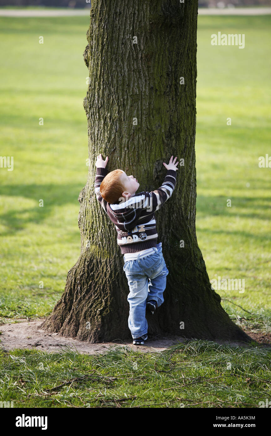 Boy trying to climb a tree in a park Stock Photo - Alamy
