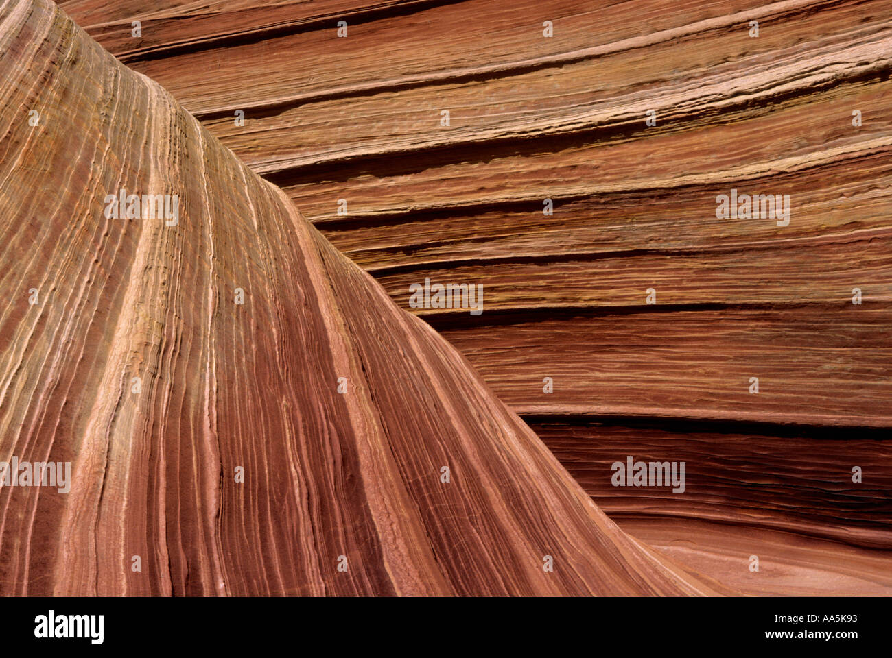 Lines connection curves hi-res stock photography and images - Alamy