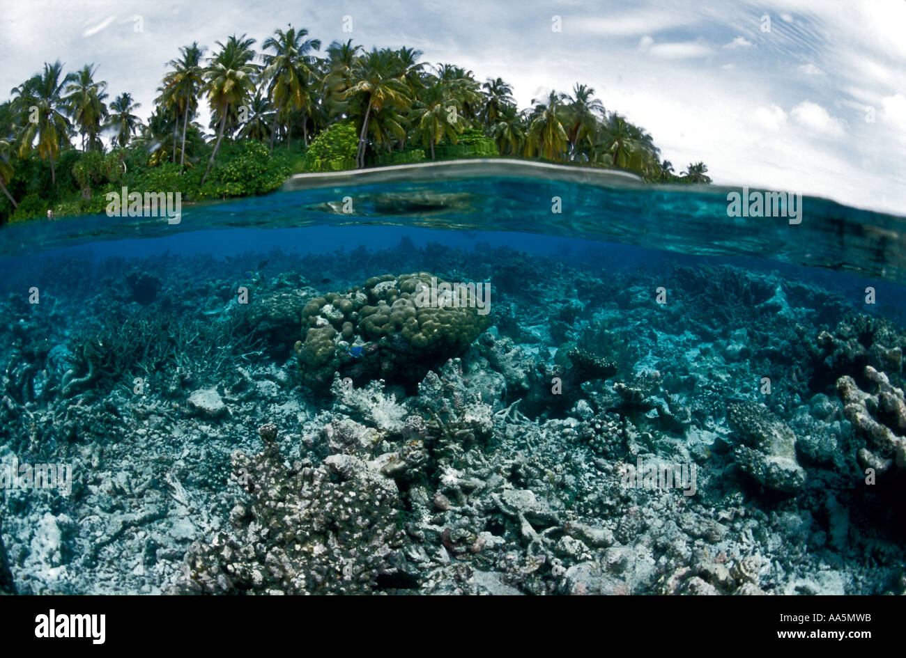 Shallow lagoon and shoreline Stock Photo - Alamy