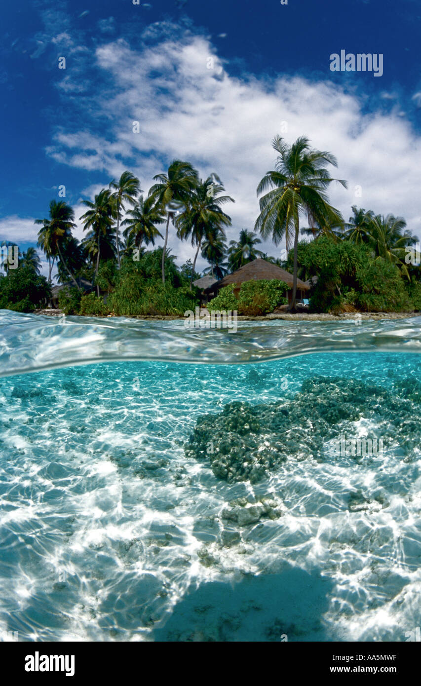 Shallow lagoon and shoreline Stock Photo - Alamy