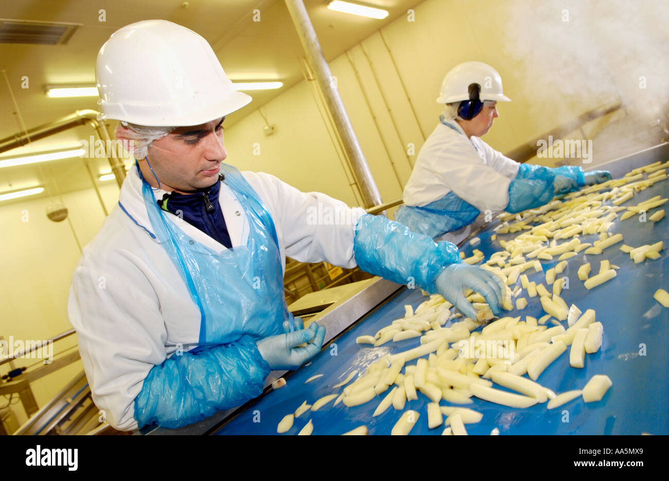 Mashed potato production line at company making chilled ready meals in ...
