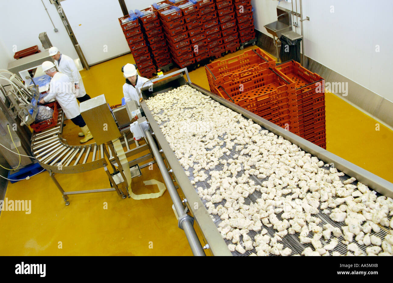 Processing Factory Chicken High Resolution Stock Photography and Images ...