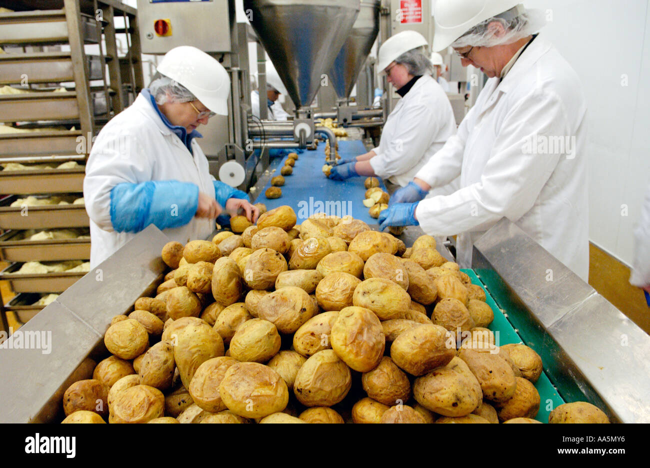 Baked potato production line at company making chilled ready meals in ...