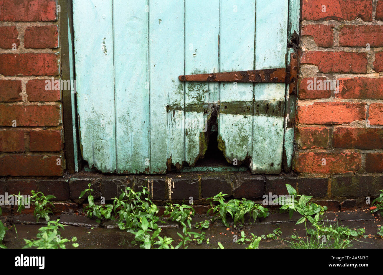 Rotting wooden door Stock Photo - Alamy