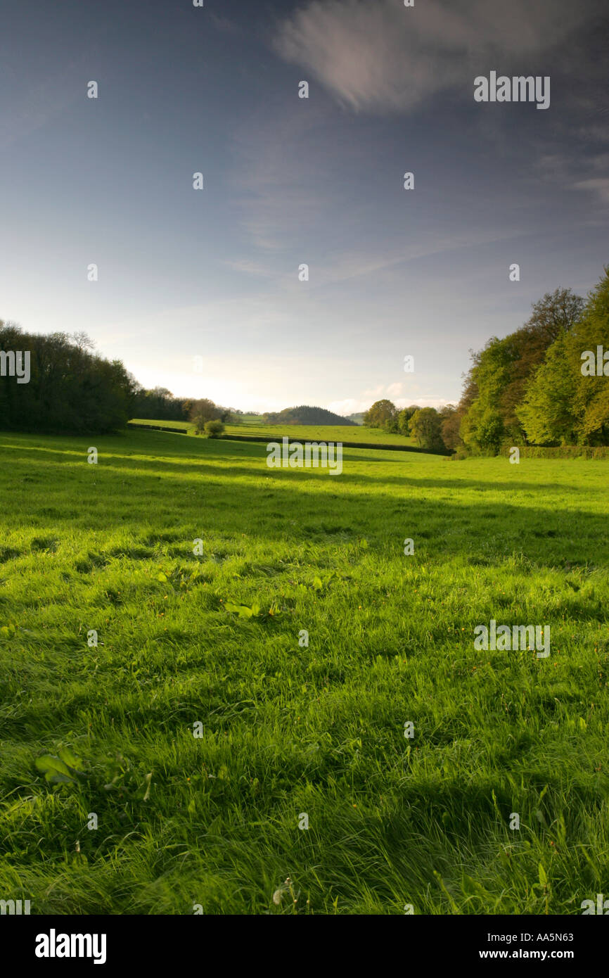 Devon england gorgeous hi-res stock photography and images - Alamy