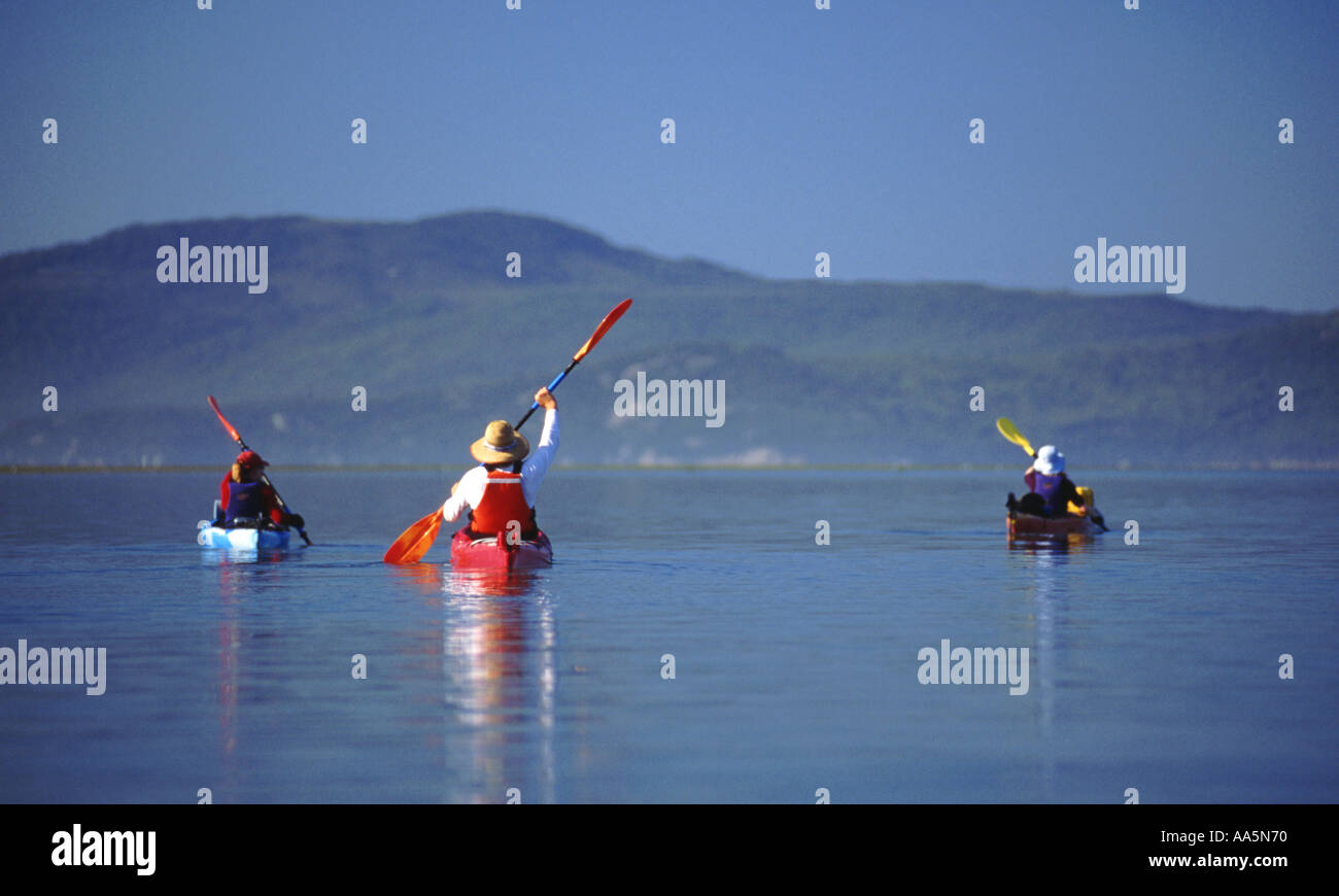 Nooramunga hi-res stock photography and images - Alamy