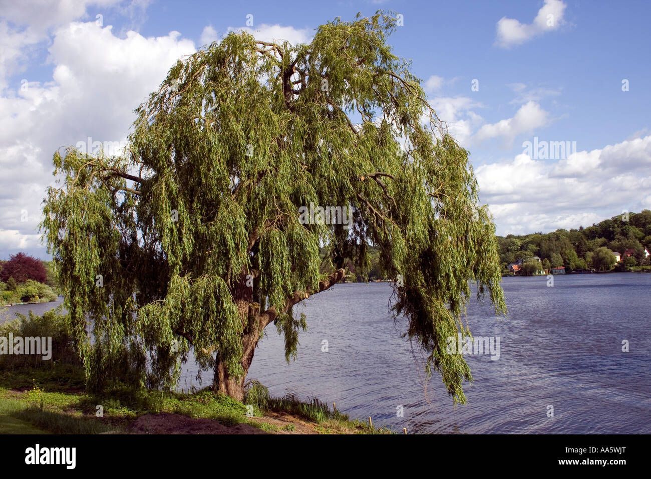 A quiet summer afternoon Stock Photo - Alamy