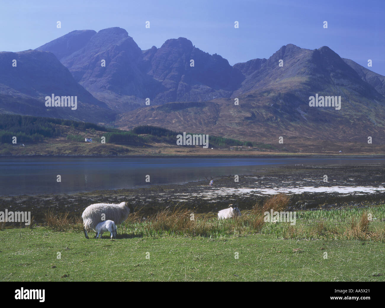 Blaven Isle of Skye Stock Photo - Alamy