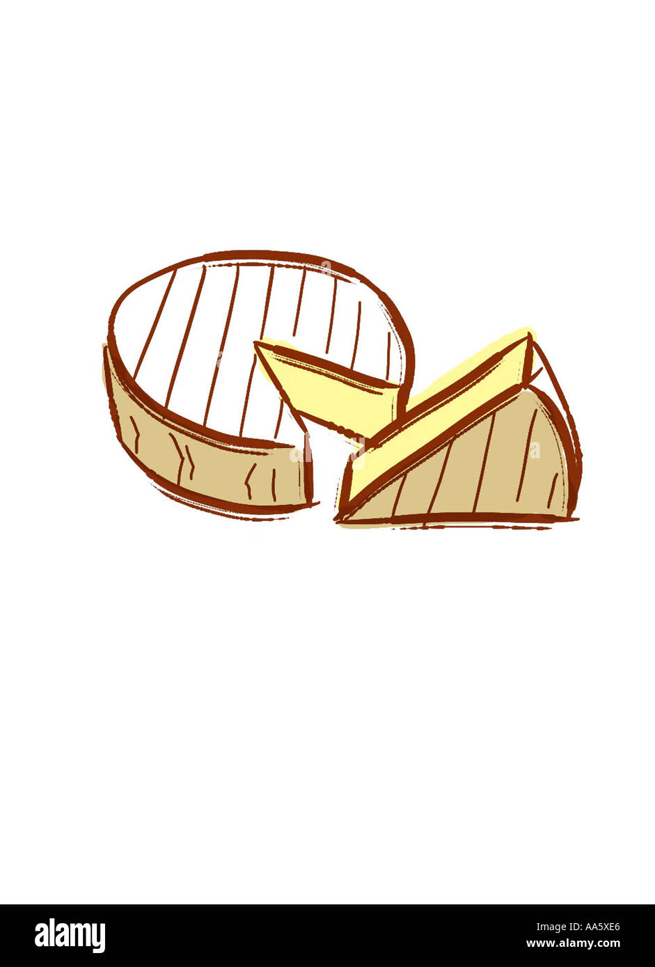 Brie drawing Cut Out Stock Images & Pictures - Alamy