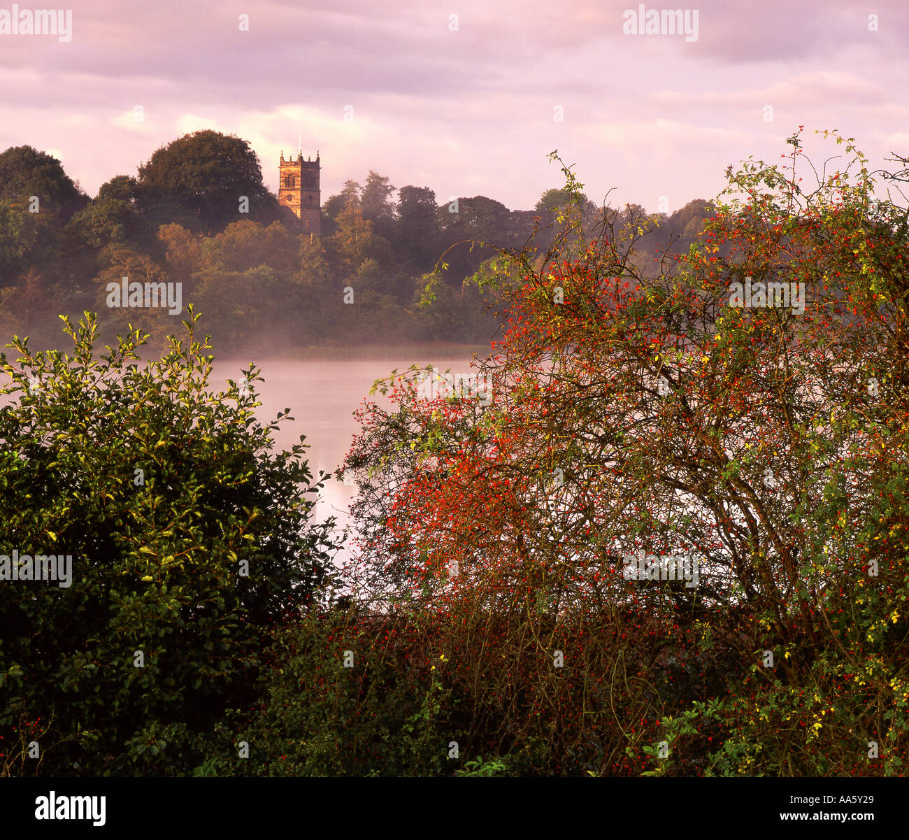 Rostherne mere knutsford hi-res stock photography and images - Alamy