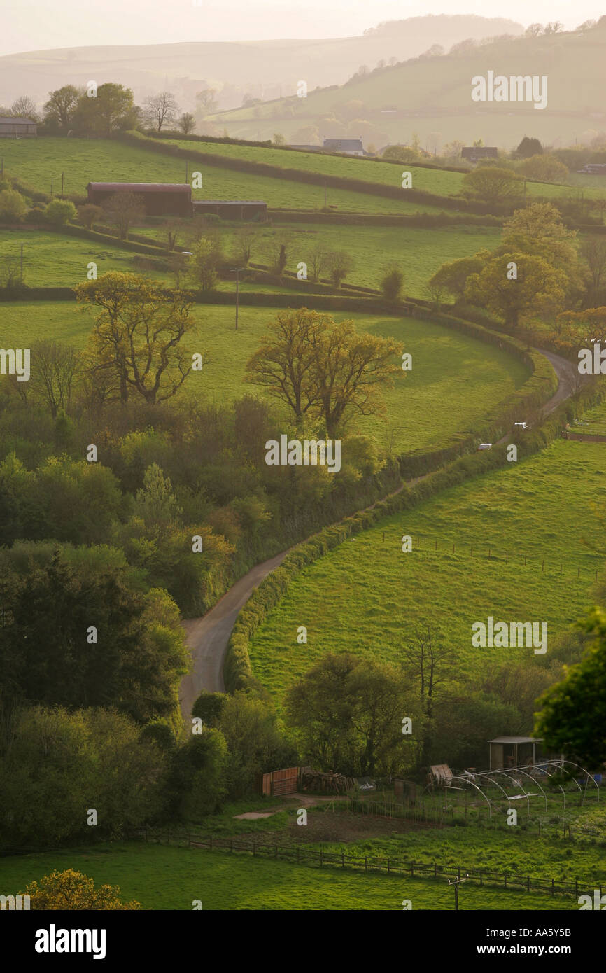 Meandering road winds through lush green Devonshire hills and fields in ...