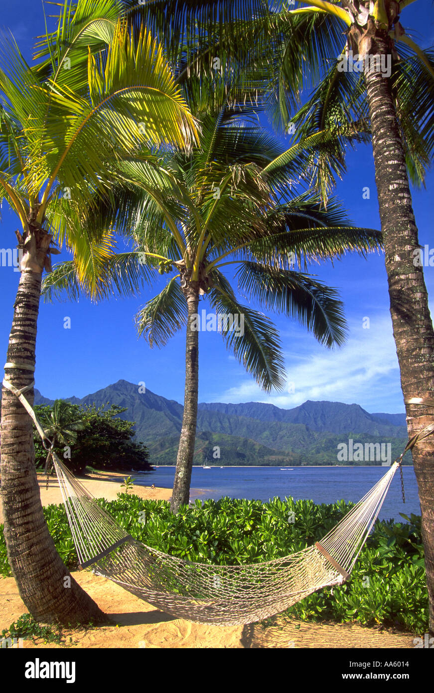 Hanalei kauai hawaii vertical hi-res stock photography and images - Alamy