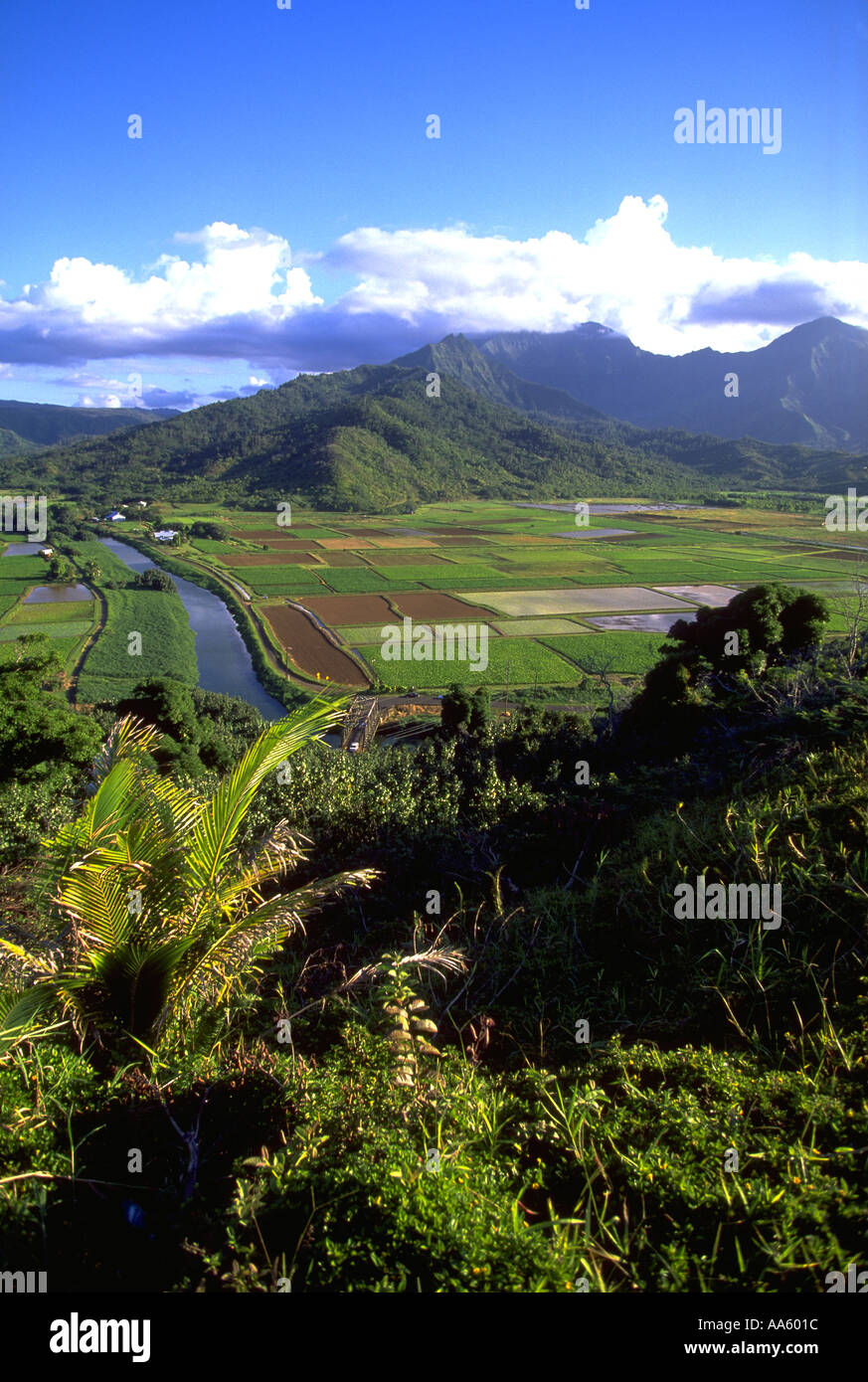 Hanalei kauai hawaii vertical hi-res stock photography and images - Alamy