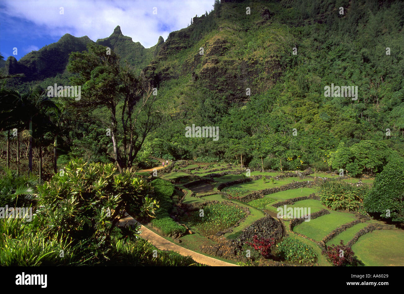 Limahuli botanical gardens hi-res stock photography and images - Alamy