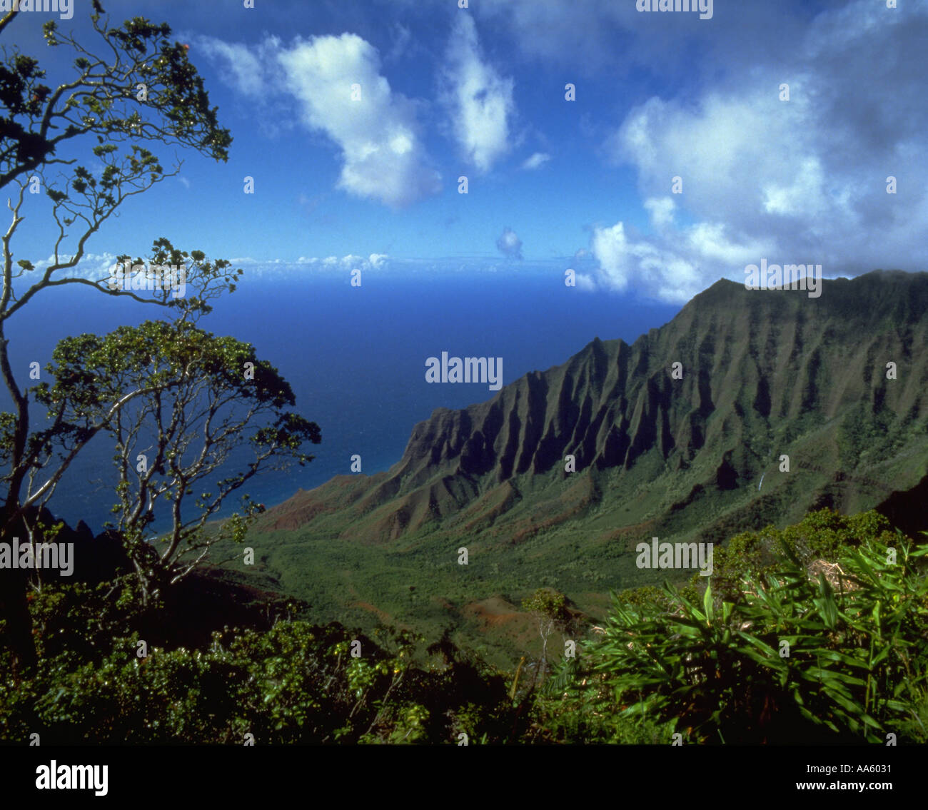 Kalalau Lookout Kokee State Park Waimea Canyon Kauai Hawaii USA Stock ...