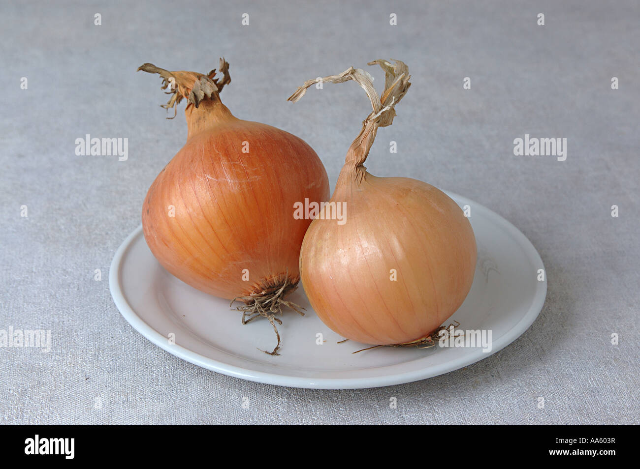 Two plate hi-res stock photography and images - Alamy