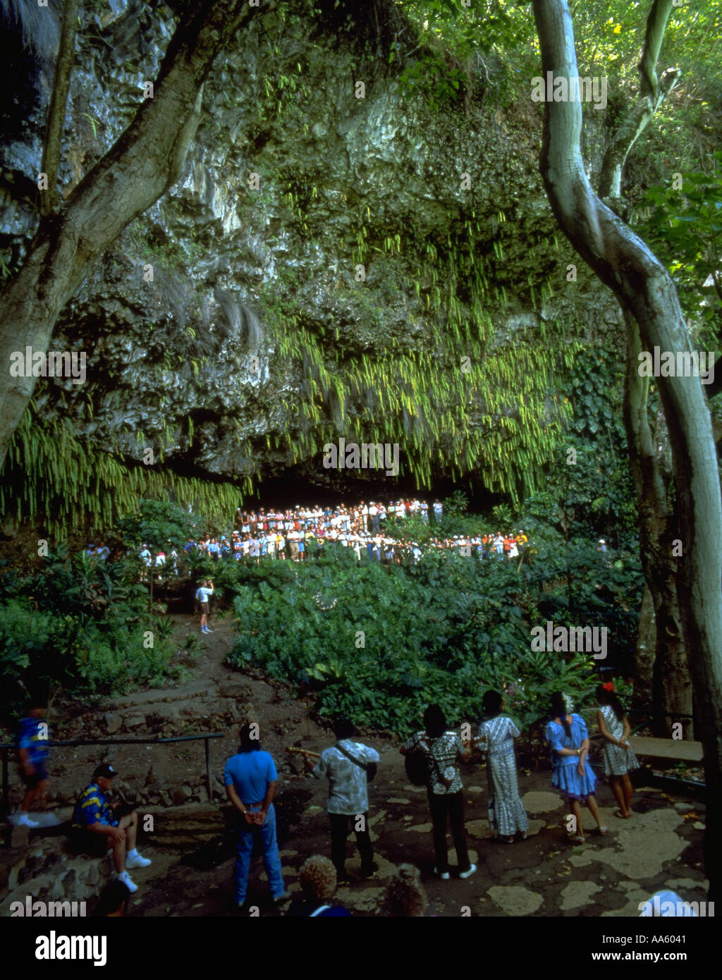 Fern Grotto Wailua River Kauai Hawaii USA Stock Photo - Alamy