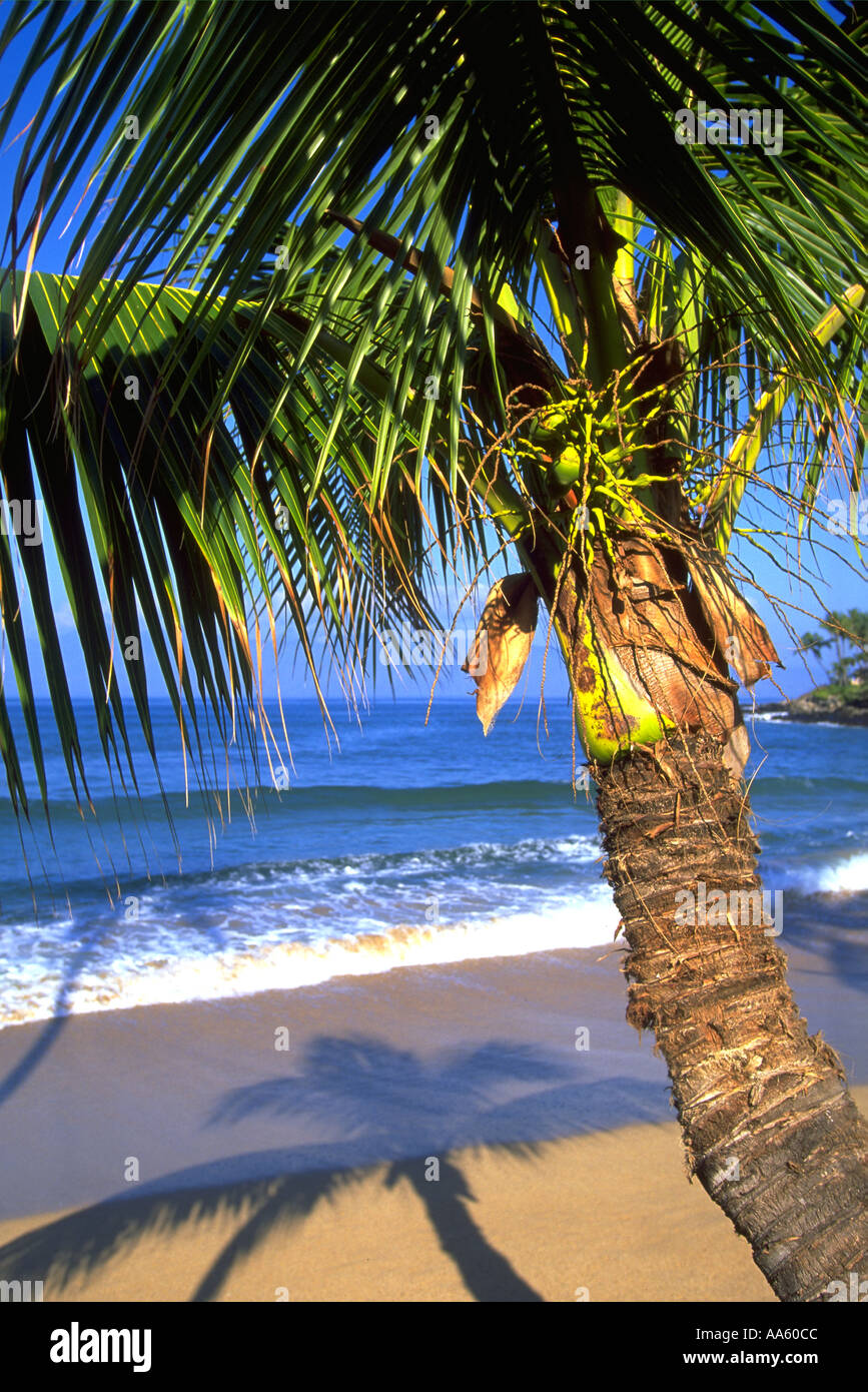 Napili Beach Maui Hawaii USA Stock Photo - Alamy