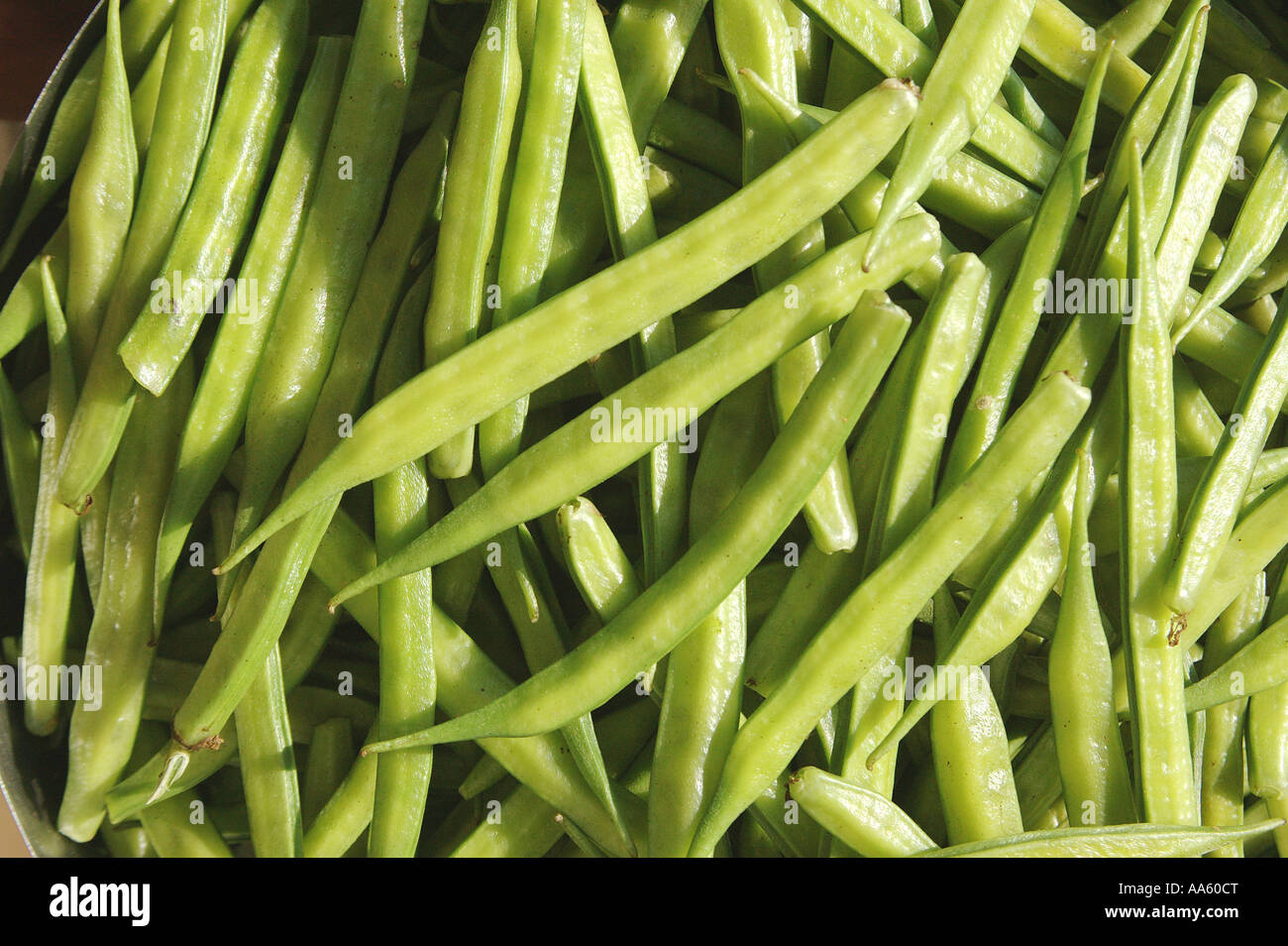 ANG104092 Vegetable Cluster Gawar Beans Botanical Name Cyamopsis ...