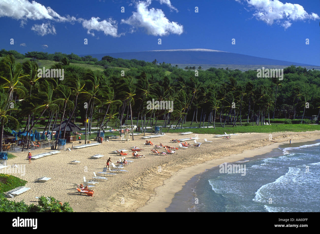 Kauna oa Beach at Mauna Kea Hotel Island of Hawaii Hawaii USA Stock ...
