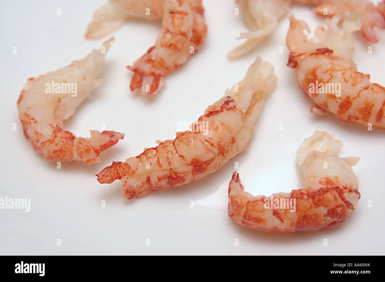 ANG103887 Non vegetable food Crayfish cooked pealed and marinated ready ...