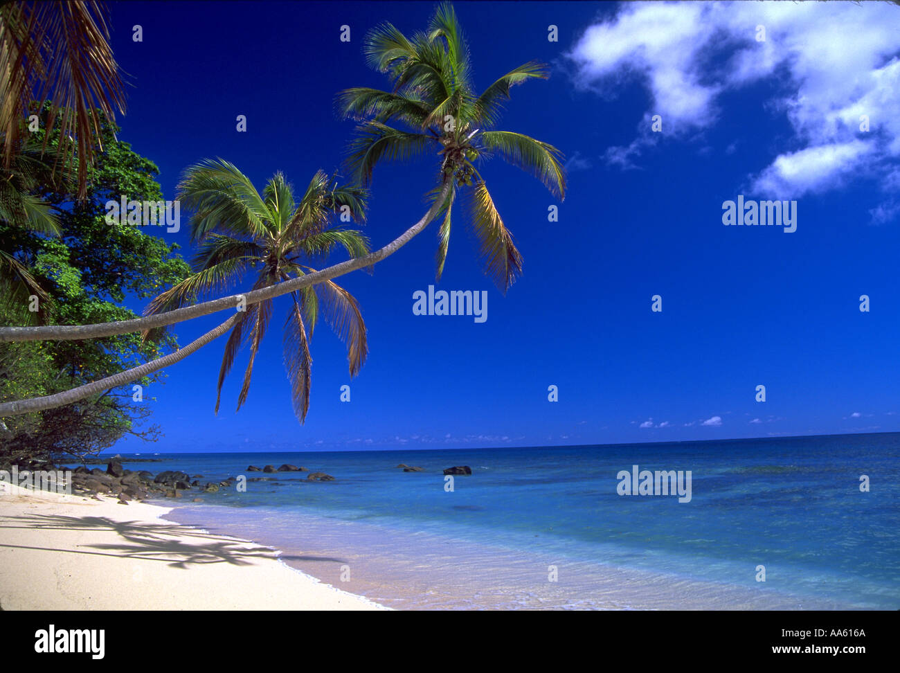 Kadavu island beach hi-res stock photography and images - Alamy