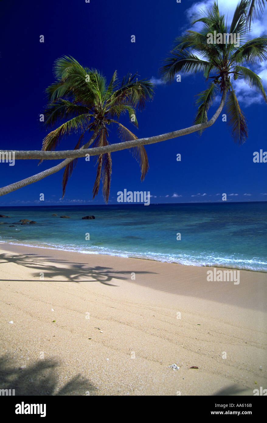 Kadavu island beach hi-res stock photography and images - Alamy