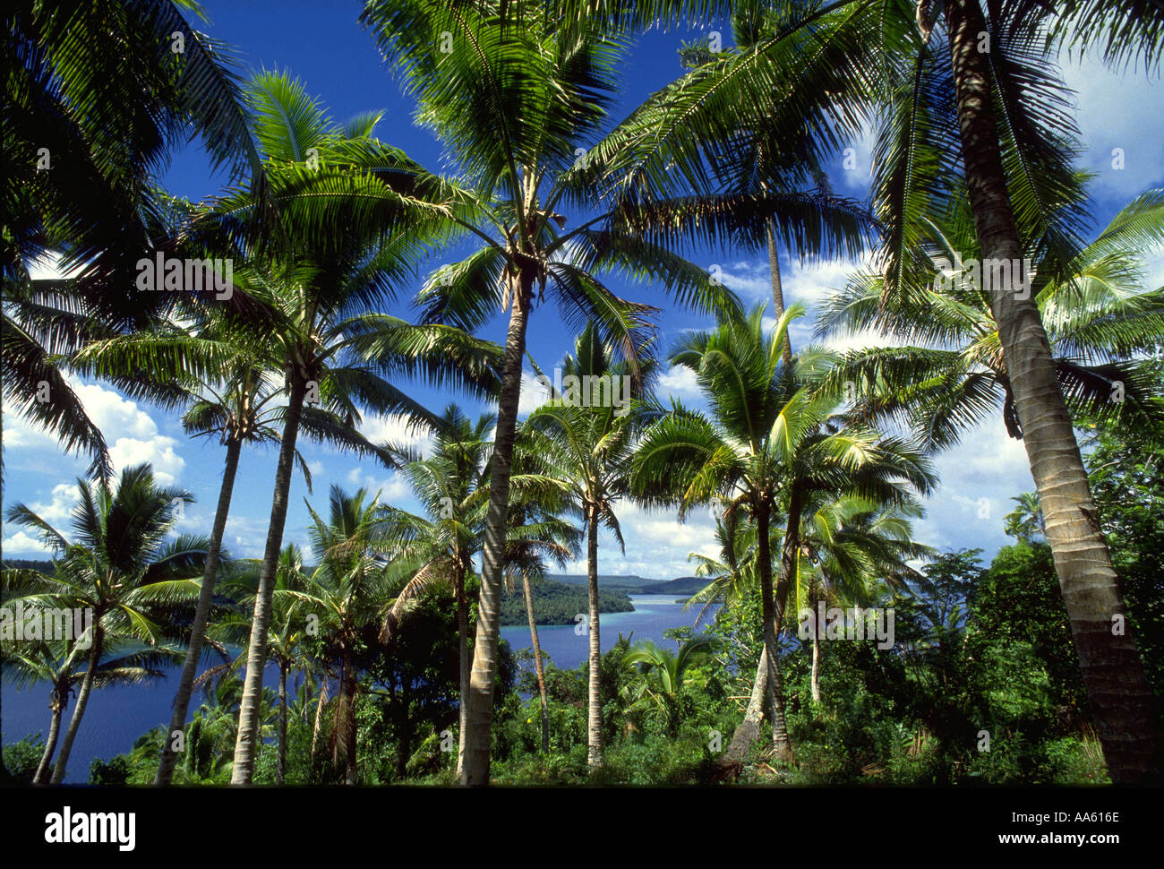 Vava’u tonga hi-res stock photography and images - Alamy